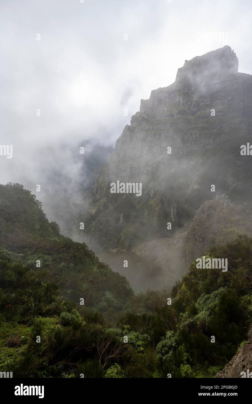 Fog on a rocky cliff, Central Mountains of Madeira, Madeira, Portugal ...