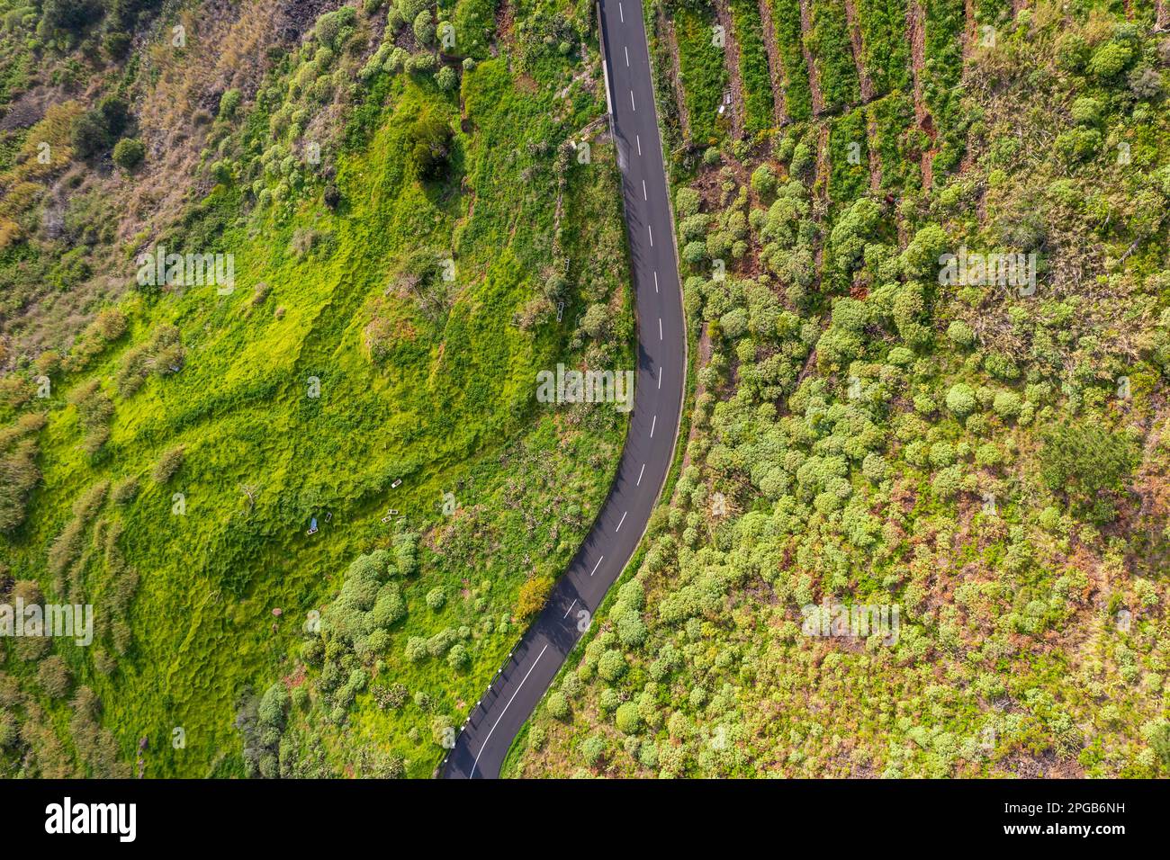 Aerial view, country road from above, Madeira, Portugal Stock Photo - Alamy