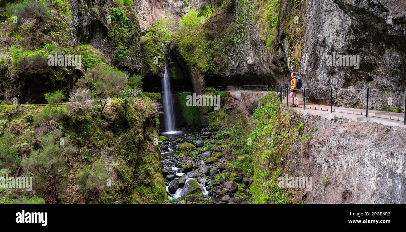 Levada do Moinho, Waterfall in a gorge, Ponta do Sol, Madeira, Portugal ...