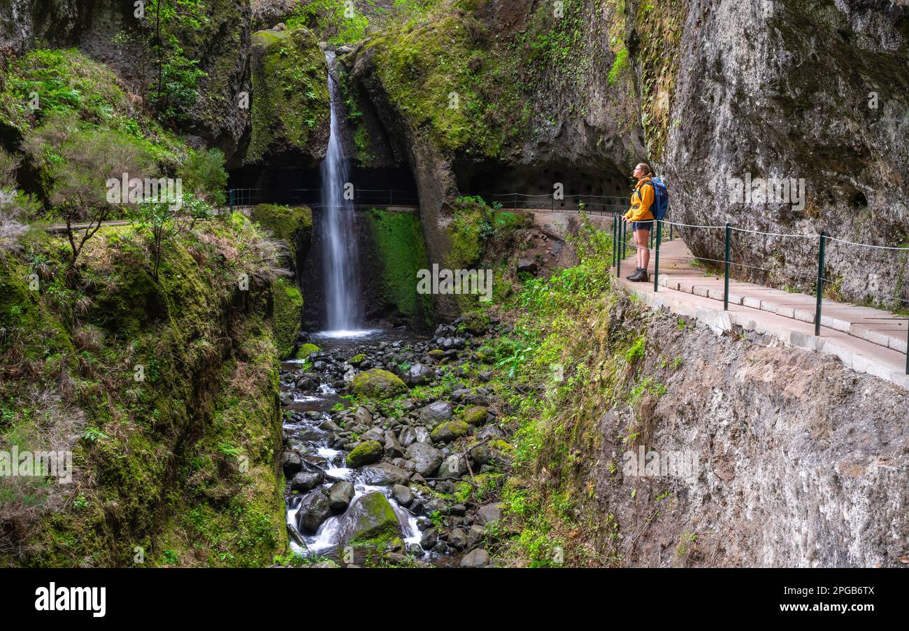 Levada do Moinho, Waterfall in a gorge, Ponta do Sol, Madeira, Portugal ...