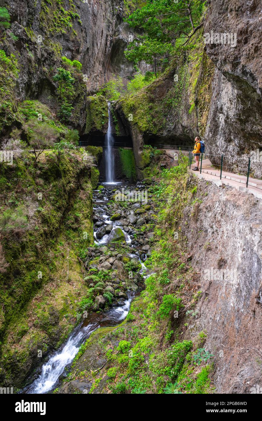 Levada do Moinho, Waterfall in a gorge, Ponta do Sol, Madeira, Portugal ...