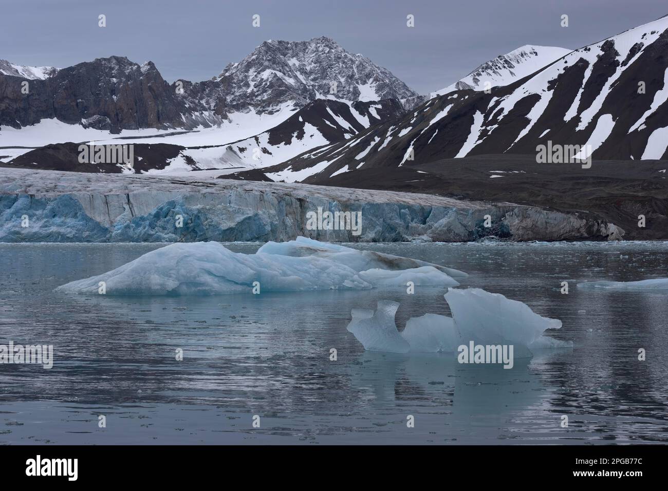 14th of July Glacier, 14e Julebreen, glacier front, in front ice chunks ...