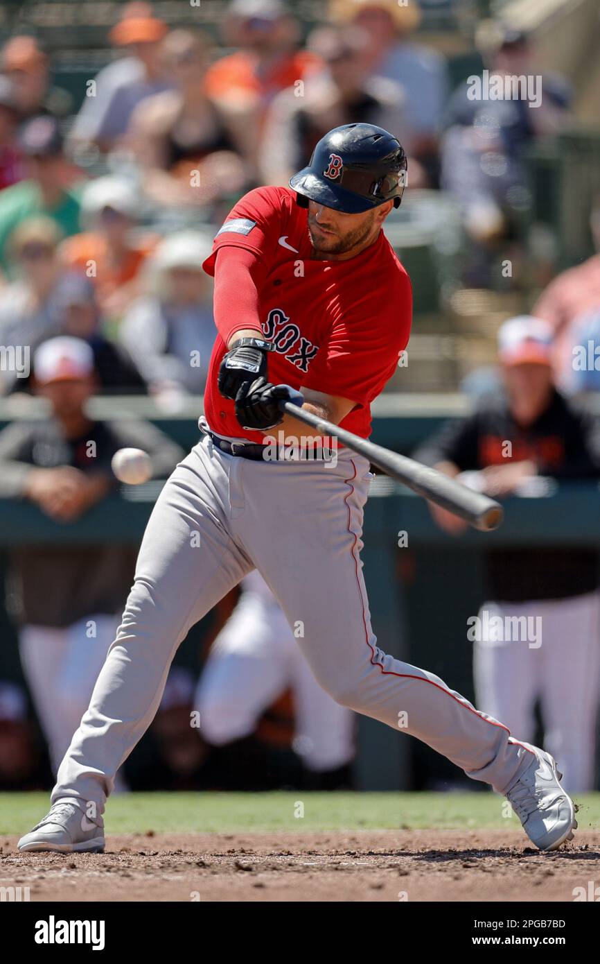 Sarasota FL USA; Boston Red Sox first baseman Daniel Palka on a line ...