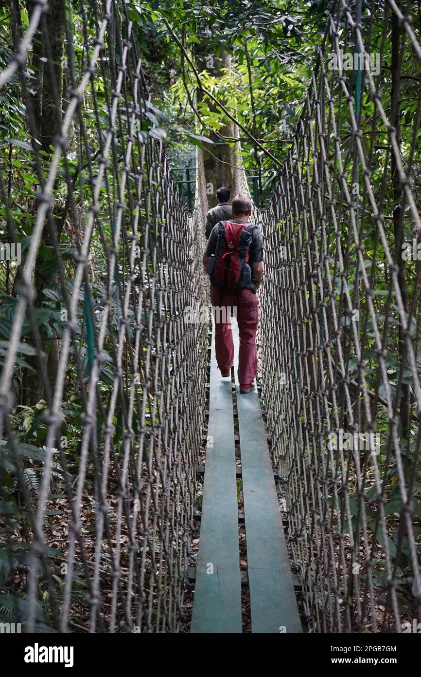 Suspension bridge, skywalk, Nam Kat waterfall, near Muang Xay, Oudomxai ...