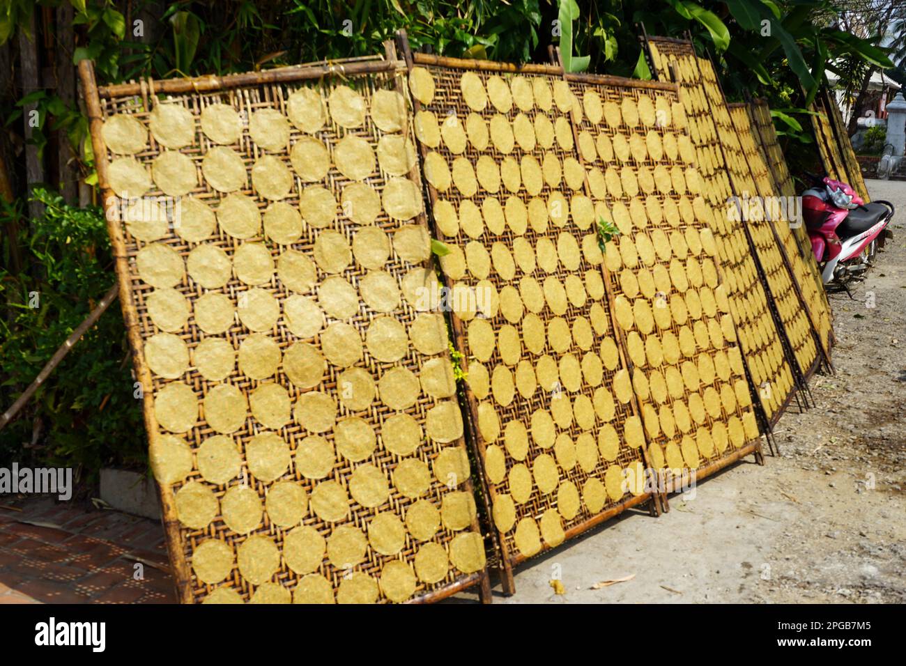 Sun-dried patties on bamboo racks, Luang Prabang, Laos Stock Photo - Alamy