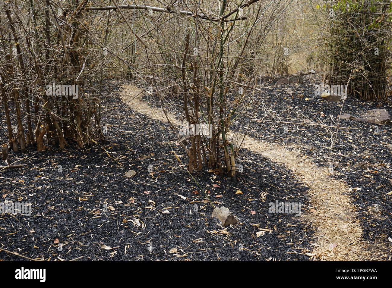 Burnt si hi-res stock photography and images - Alamy