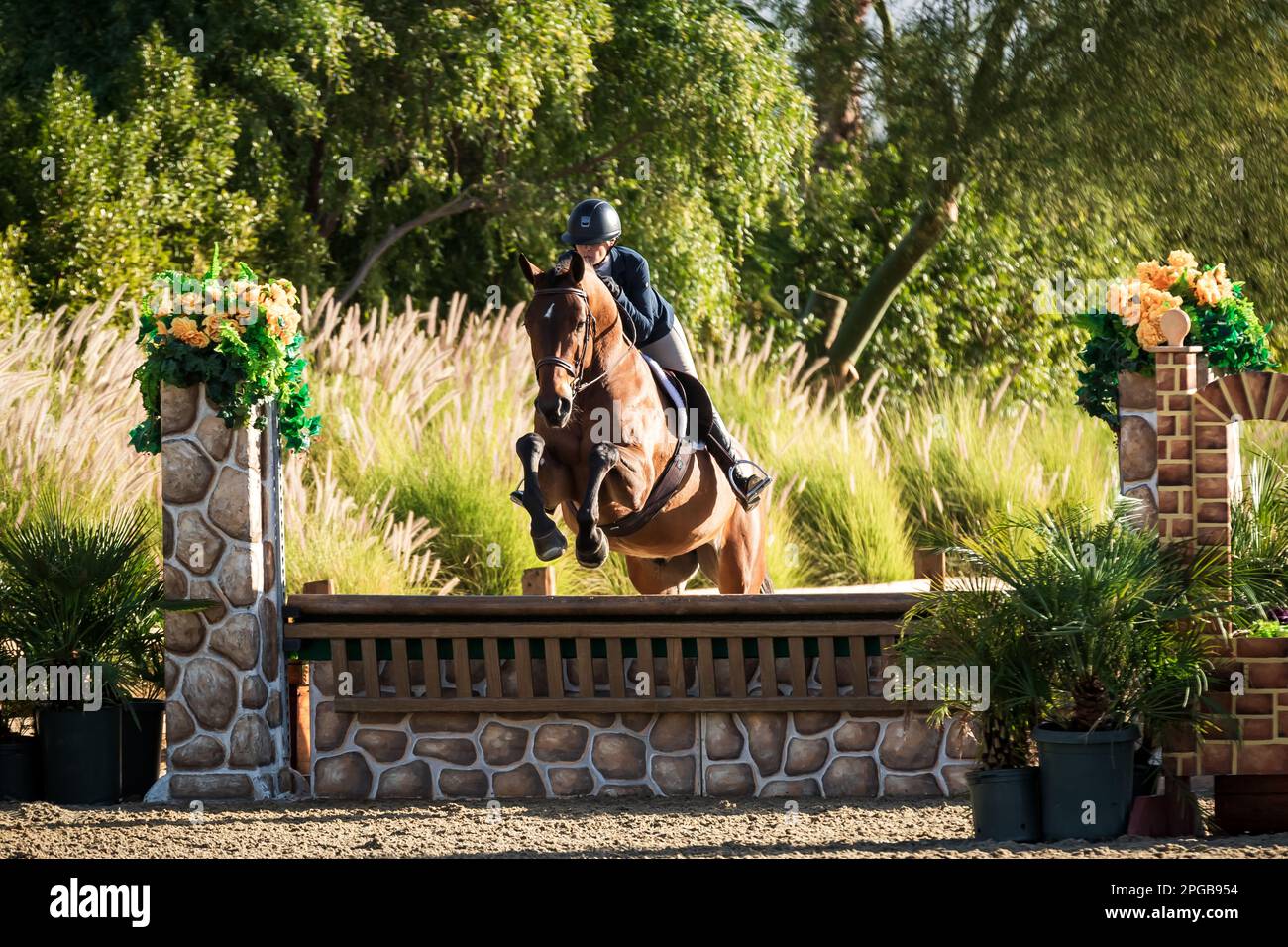 An equestrian rider competes in the Hunter Division during the 2023 ...