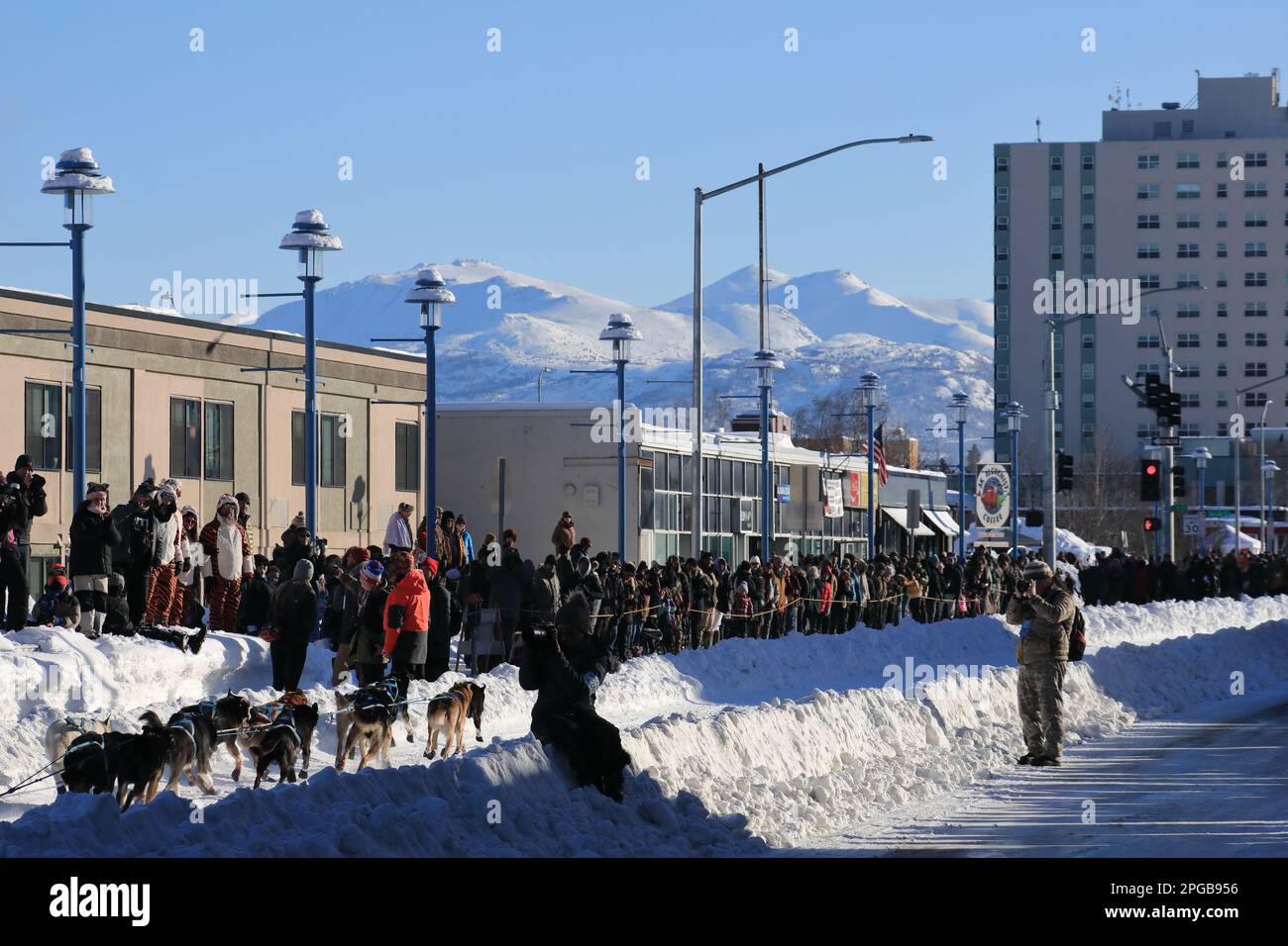 Iditarod 2023 hi-res stock photography and images - Alamy