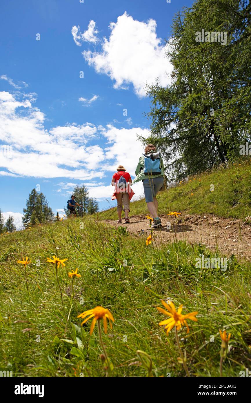 Alpe gerlitzen hi-res stock photography and images - Alamy
