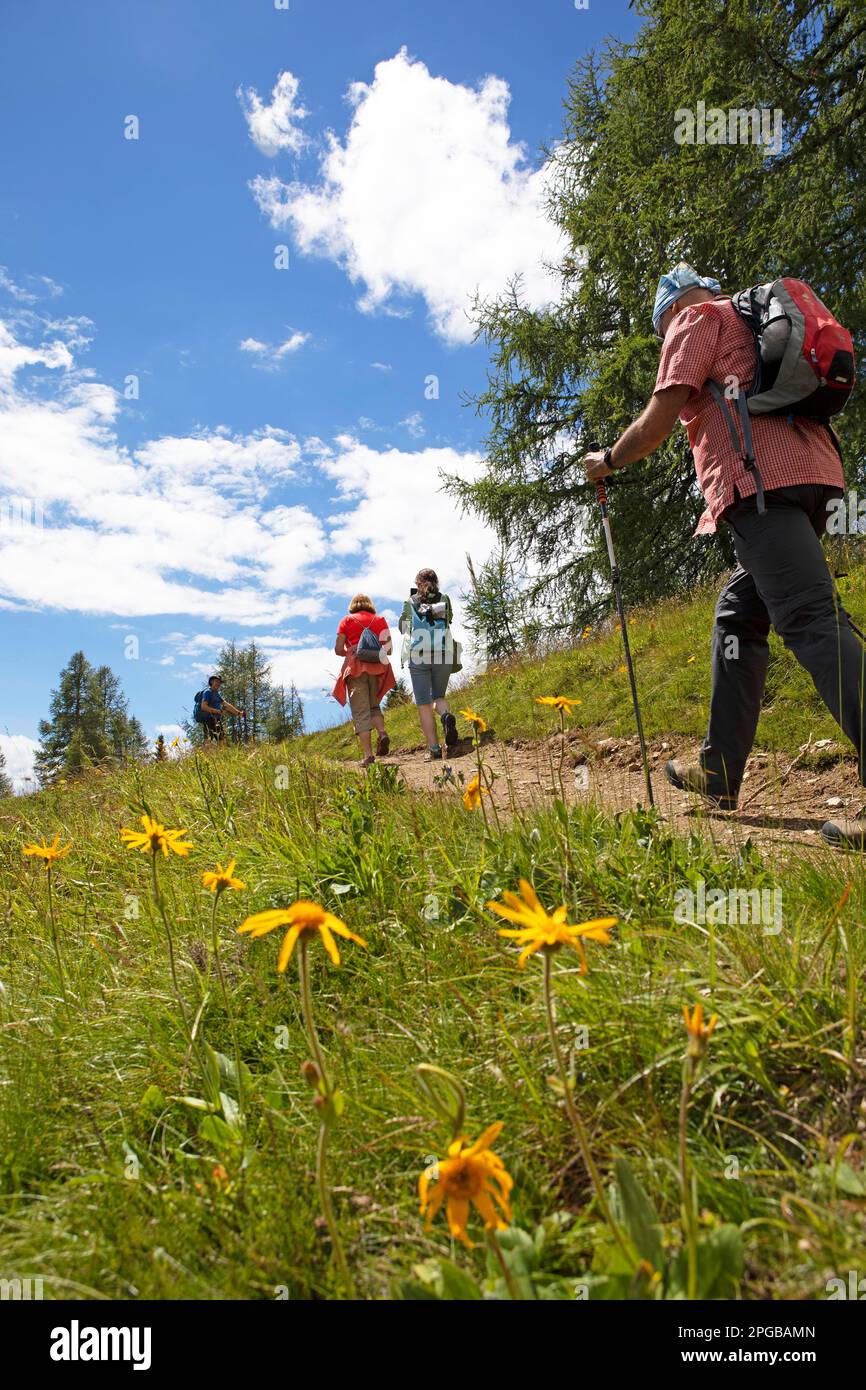 Hiking trail on the Gerlitzen Alpe, Carinthia, Austria Stock Photo - Alamy