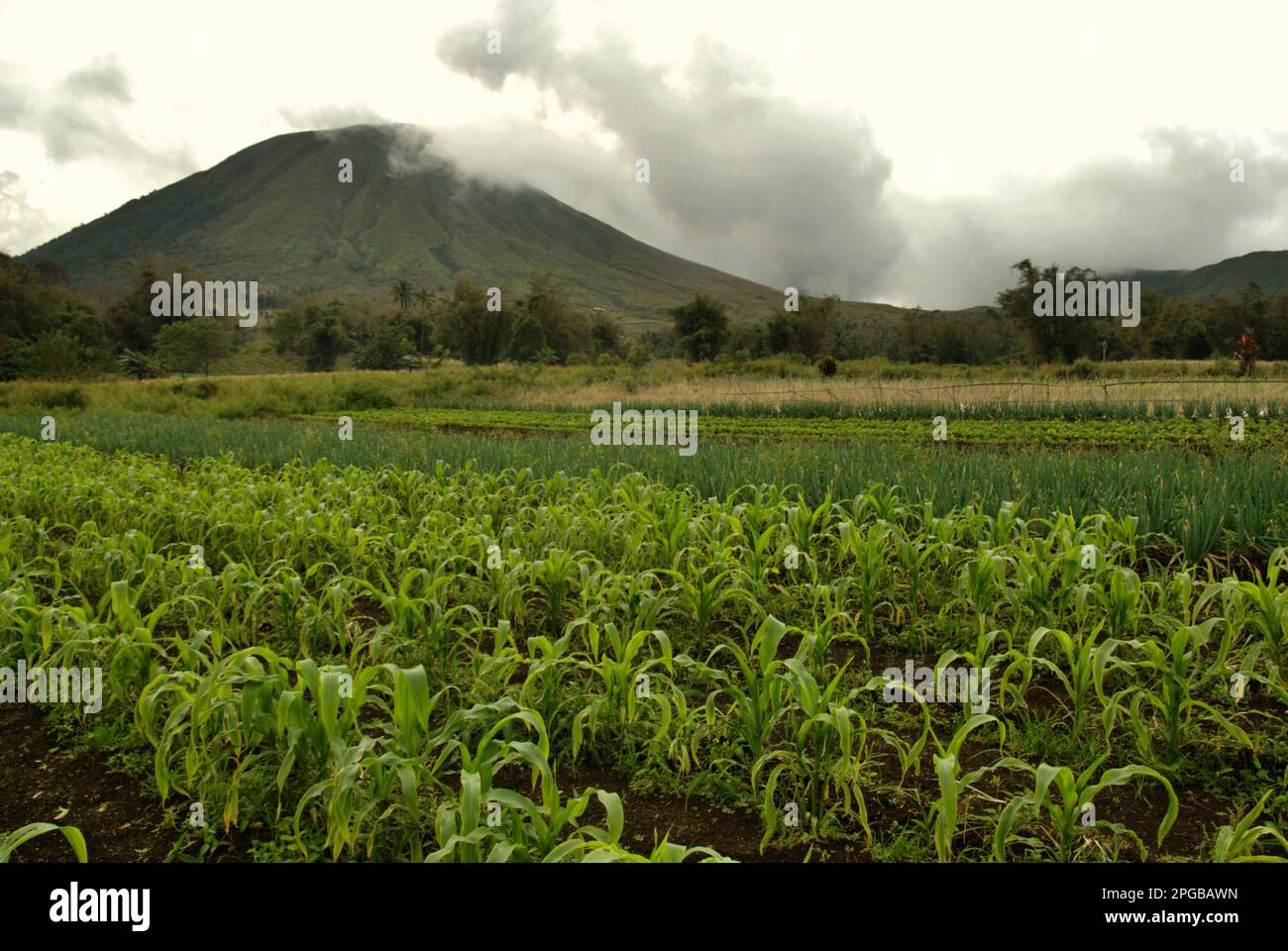 Fields of corn field and other crops are seen at the foot of Mount ...