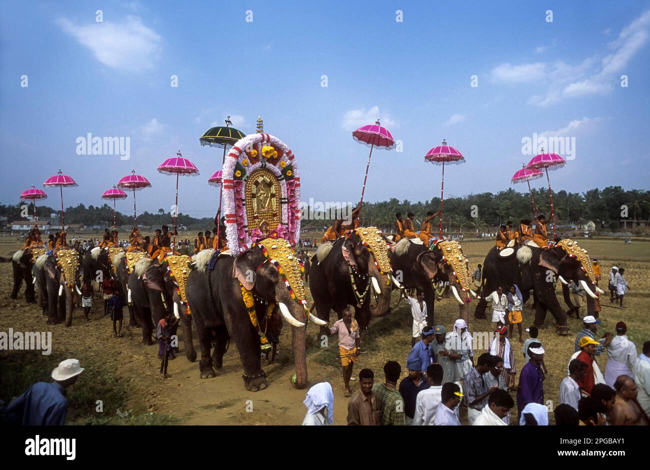 Vallanghy Nenmara Vela festival, Kerala, India, Asia Stock Photo - Alamy
