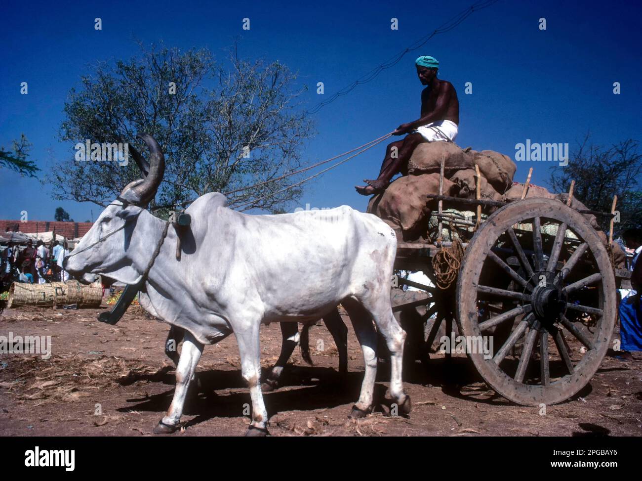 Traditional bullock cart carrying the Luggage, Weekly market in ...