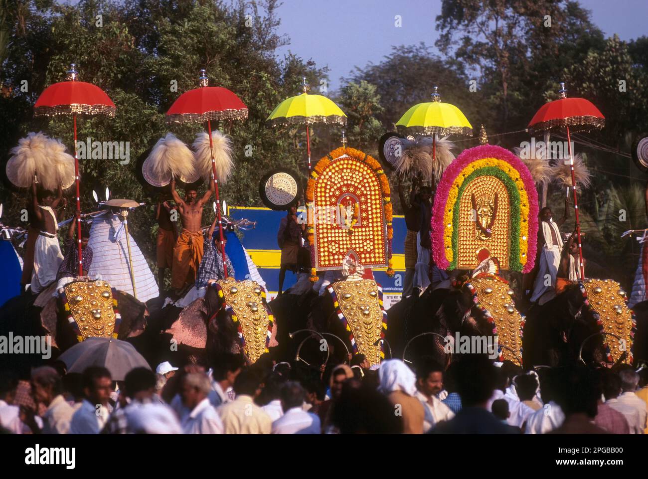 Decorated elephants in Chinnakathoor Pooram festival procession near ...