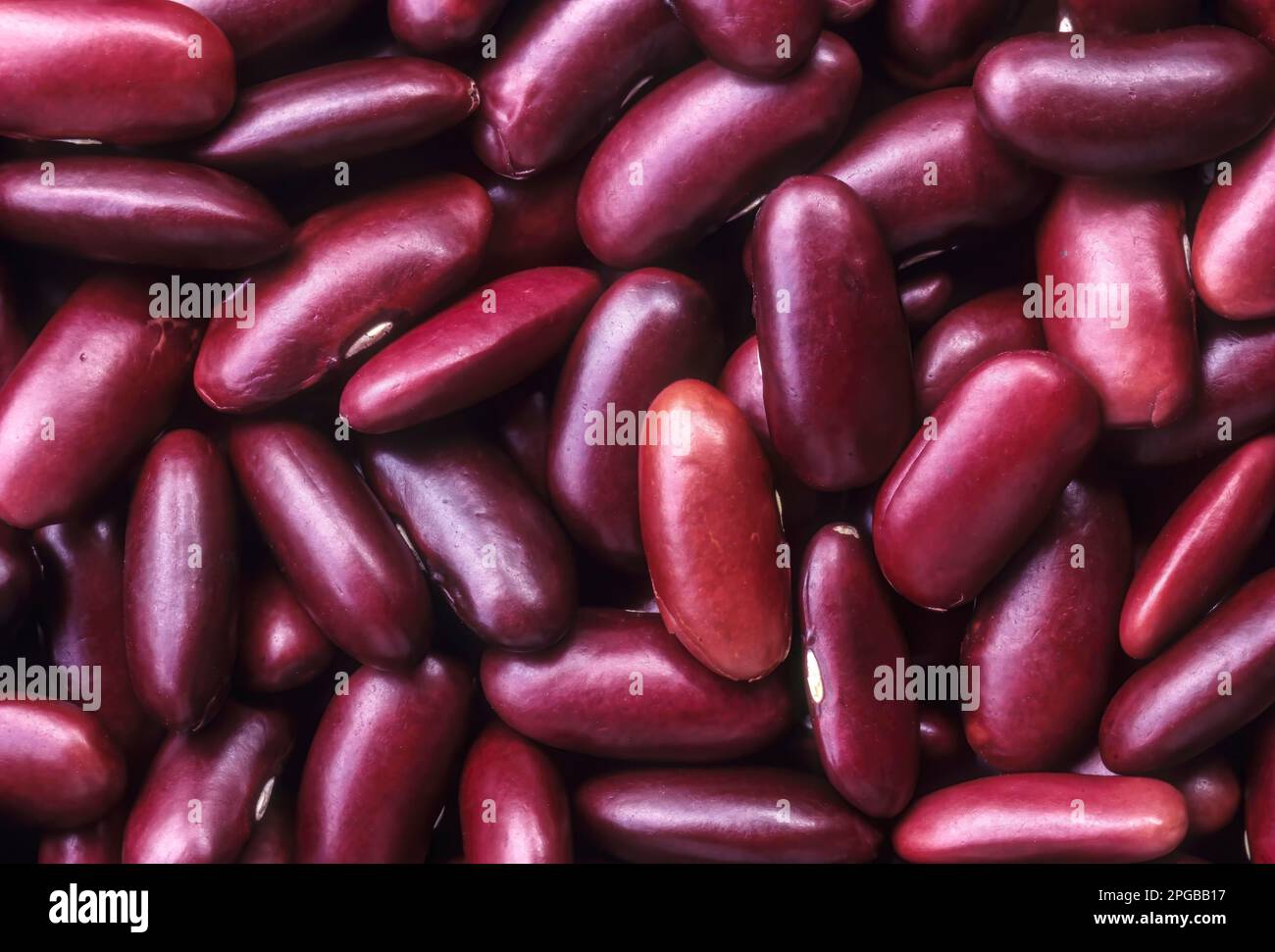 Dark red kidney beans Rajma kaaramani erra beans oil seeds scattered on ...
