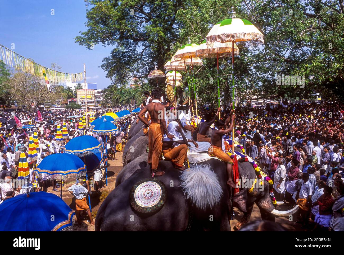 Pooram Festival in Thrissur Trichur, Kerala, South India, India, Asia ...