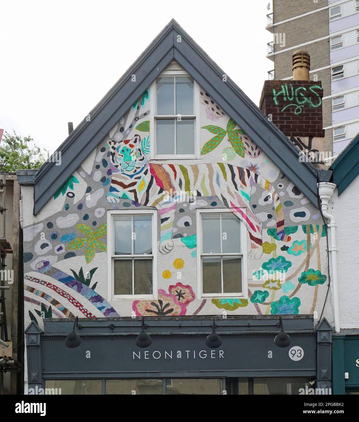 Urban tiger bristol hi-res stock photography and images - Alamy