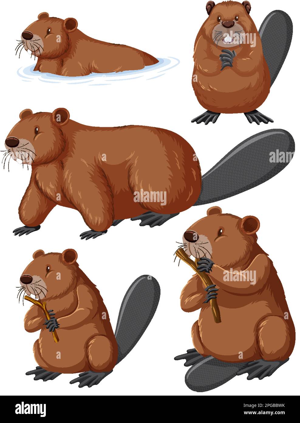Cute Cartoon Beaver Collection illustration Stock Vector Image & Art ...