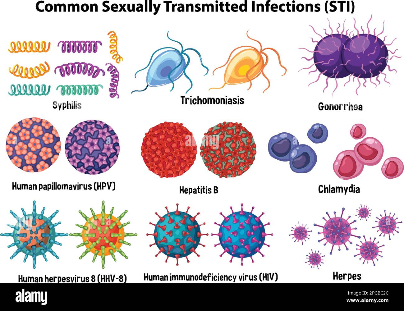 Common Sexually Transmitted Infections (STI) illustration Stock Vector ...