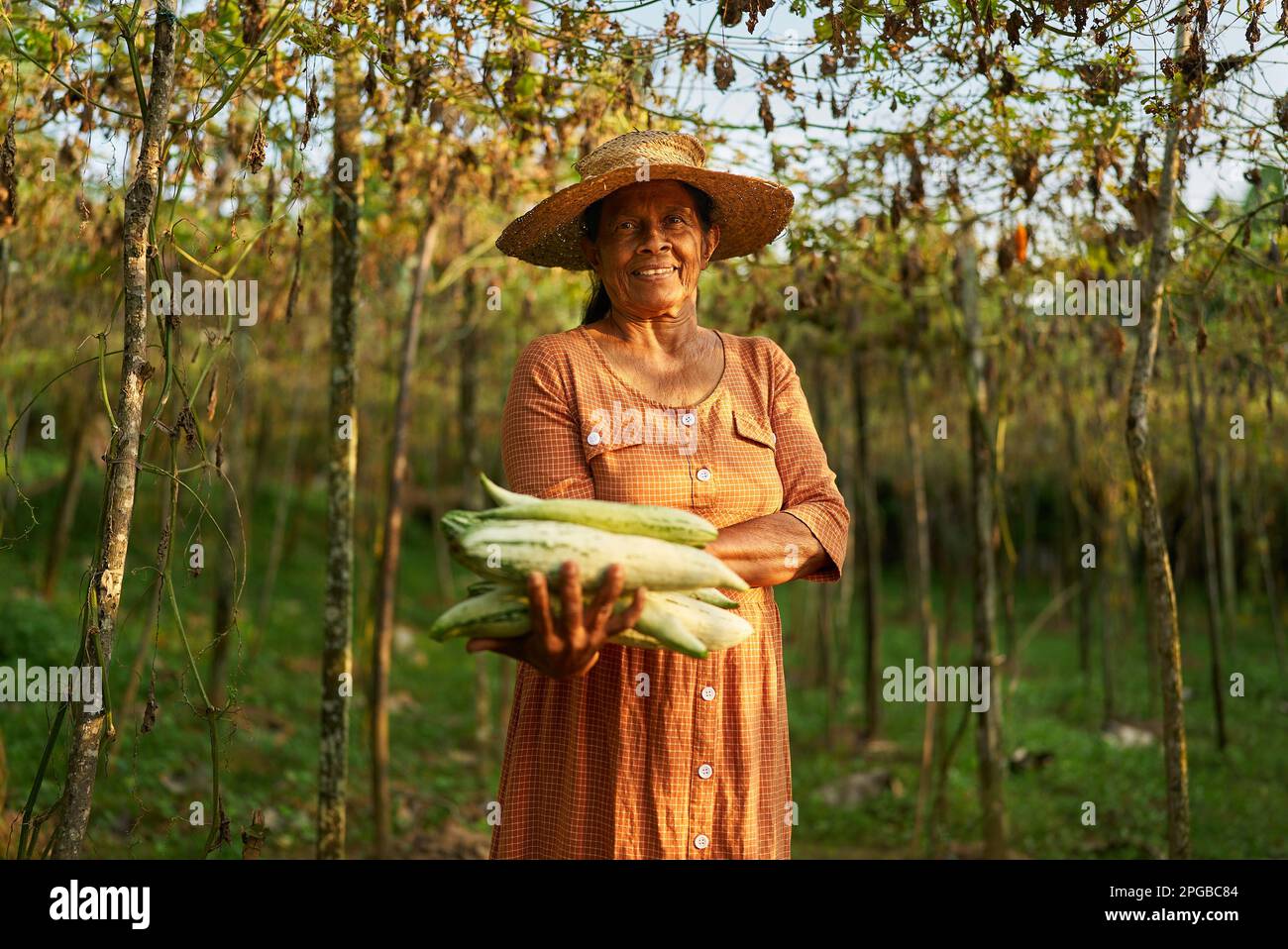 Senior Indian rural female farmer holding her vegetable harvest smiling ...