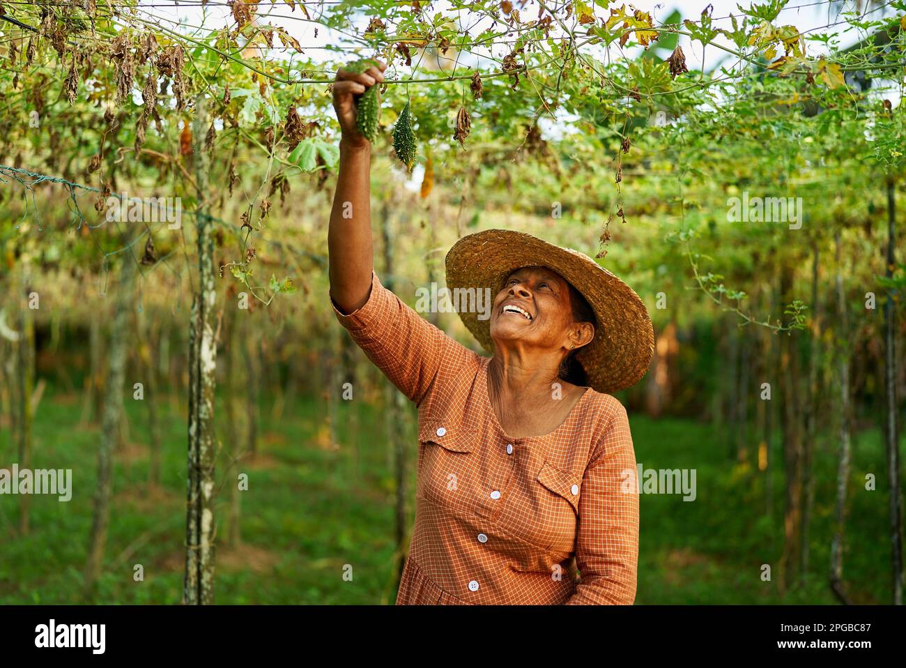 Senior Indian rural female farmer holding her vegetables harvest ...