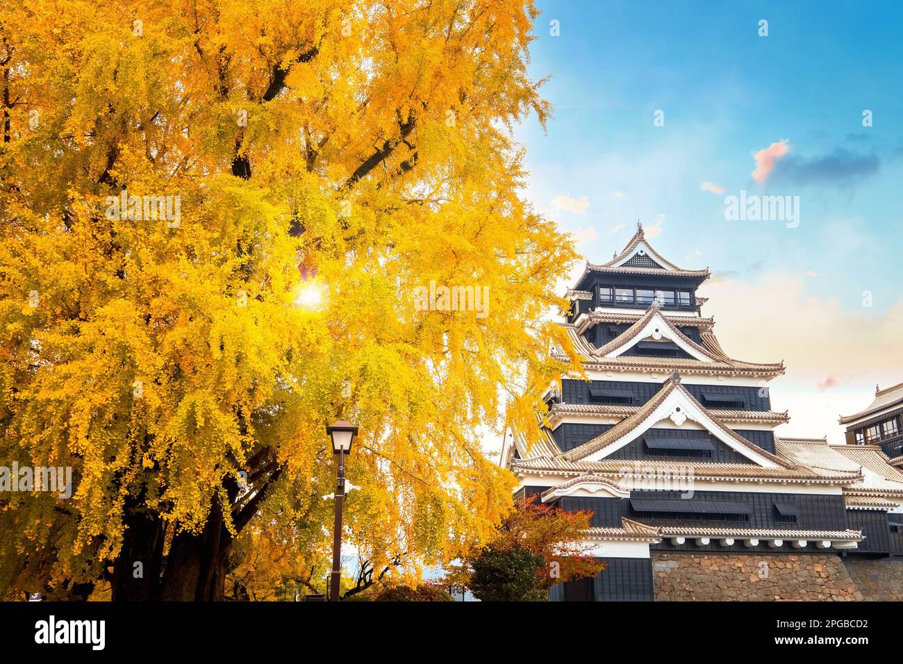 Kumamoto, Japan - Nov 23 2022: Kumamoto Castle's history dates to 1467 ...