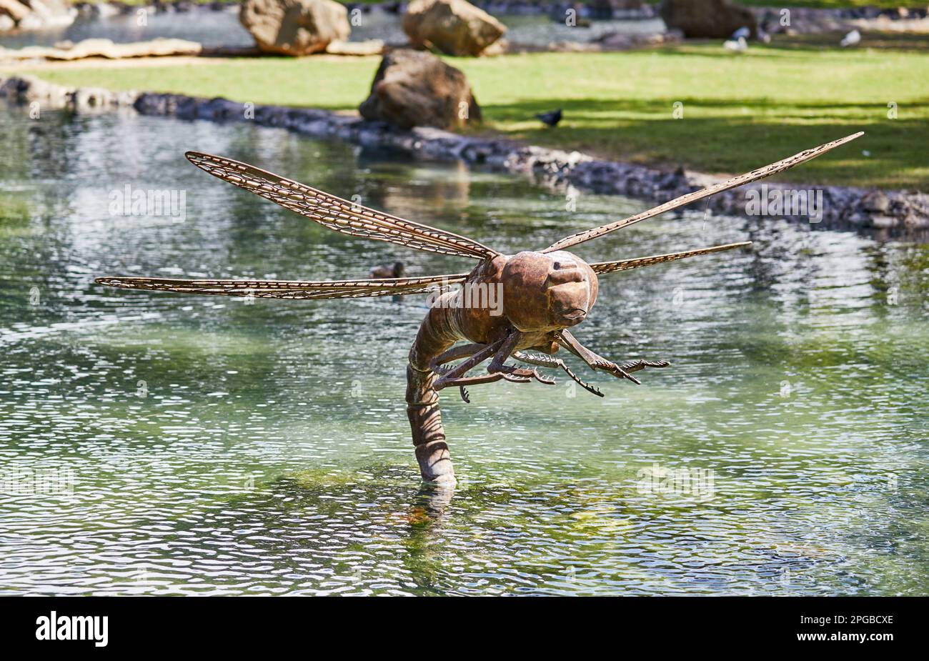 Dragonfly Sculpture in a pond Stock Photo - Alamy