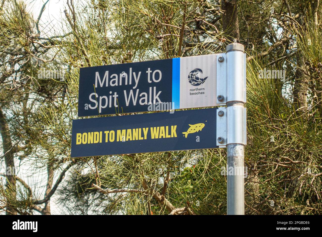 Signs for the Manly to Spit Walk and the Bondi to Manly Walk on a pole ...