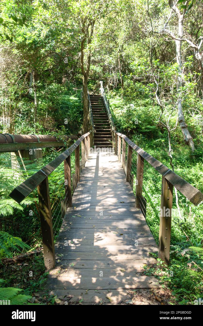 Shell cove harbour hi-res stock photography and images - Alamy