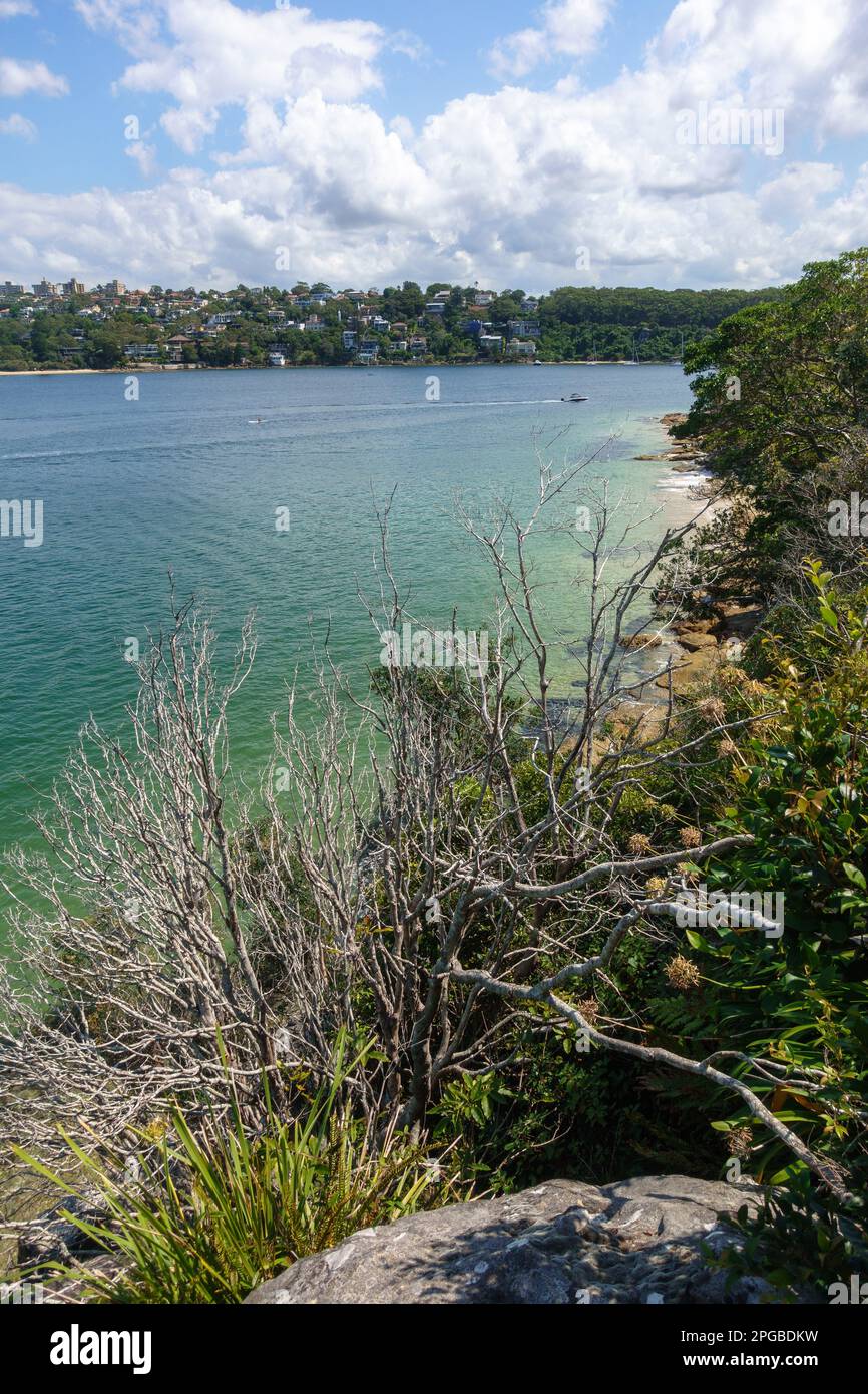 A boat in the distance of the Middle Harbour of Sydney, Australia on a ...