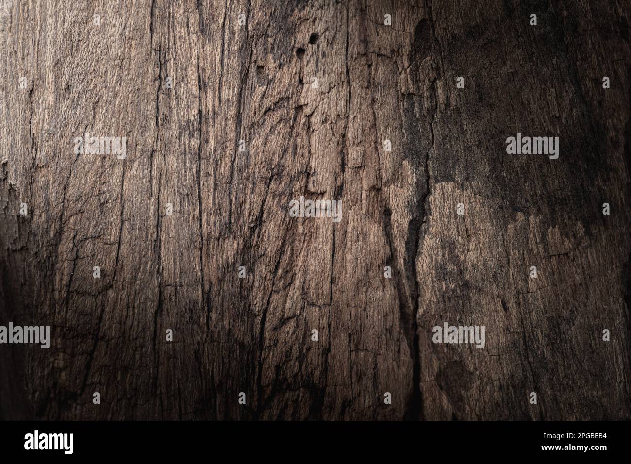Old wood texture with natural patterns. Abstract background and texture ...