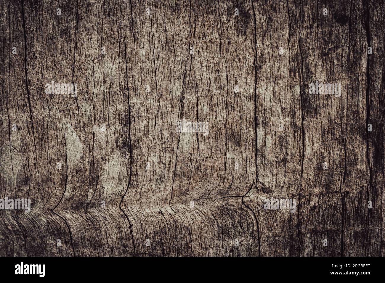 Old wood texture with natural patterns. Abstract background and texture ...