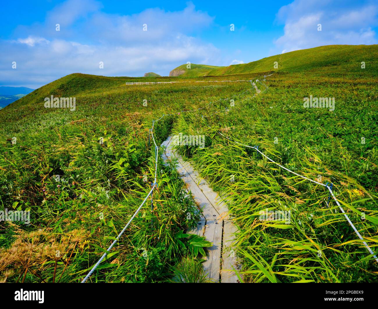 Landscape in Rebun Island, Hokkaido, Japan Stock Photo - Alamy