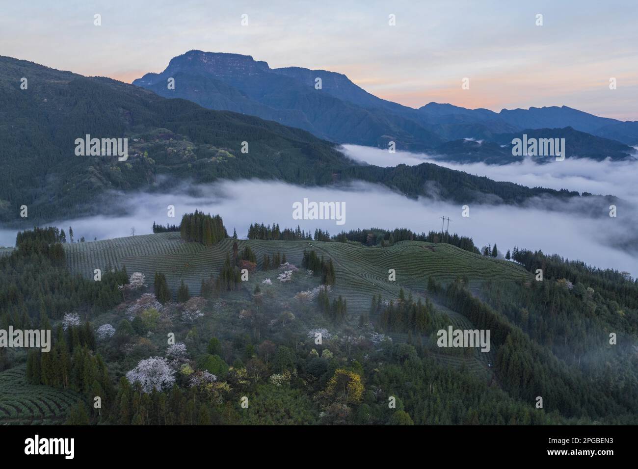 **CHINESE MAINLAND, HONG KONG, MACAU AND TAIWAN OUT** Aerial photo ...