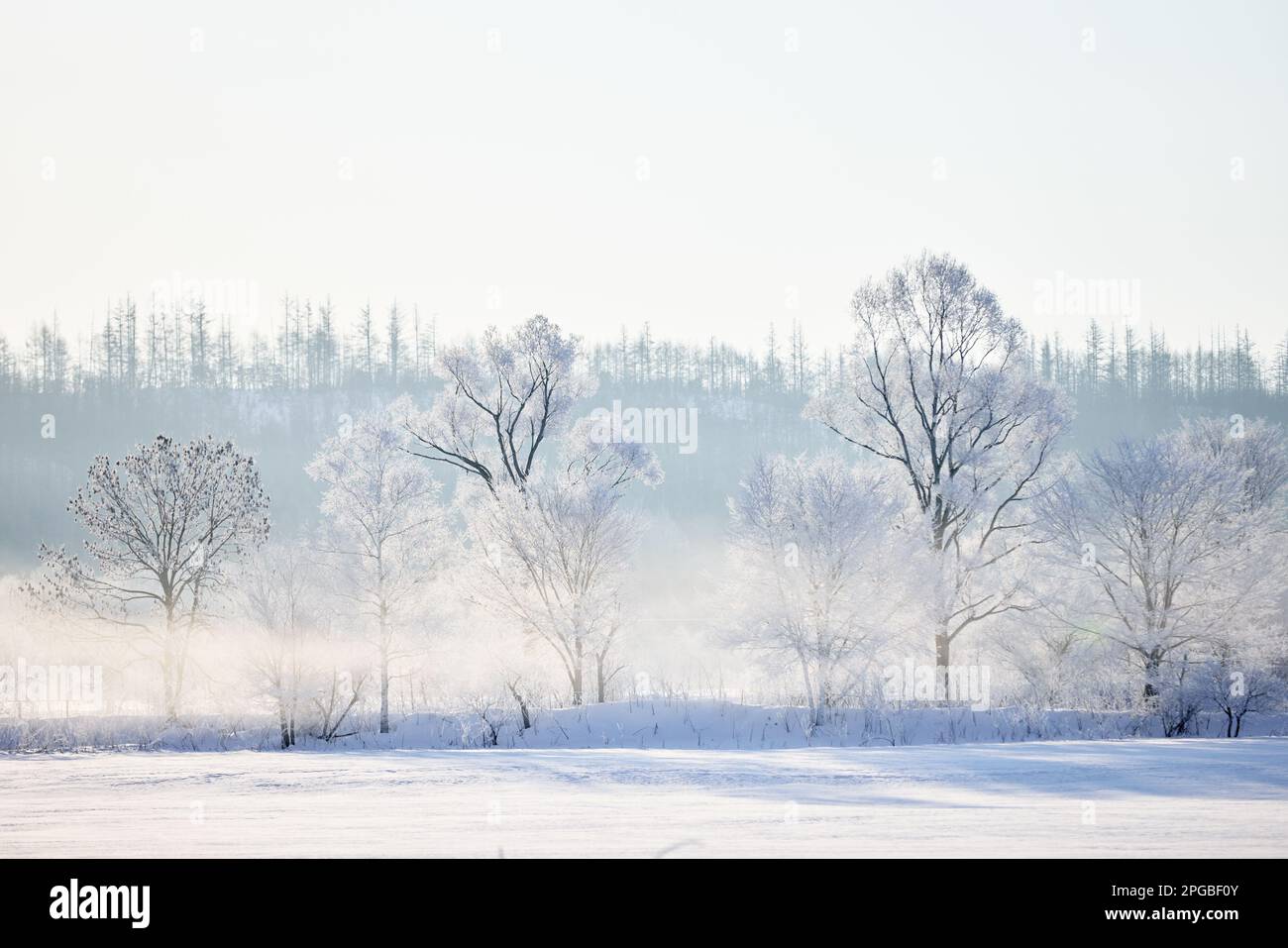 Rime Ice and Steam Fog Stock Photo - Alamy