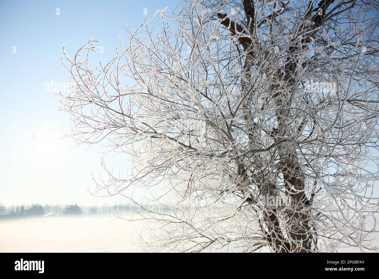 Rime Ice and Steam Fog Stock Photo - Alamy