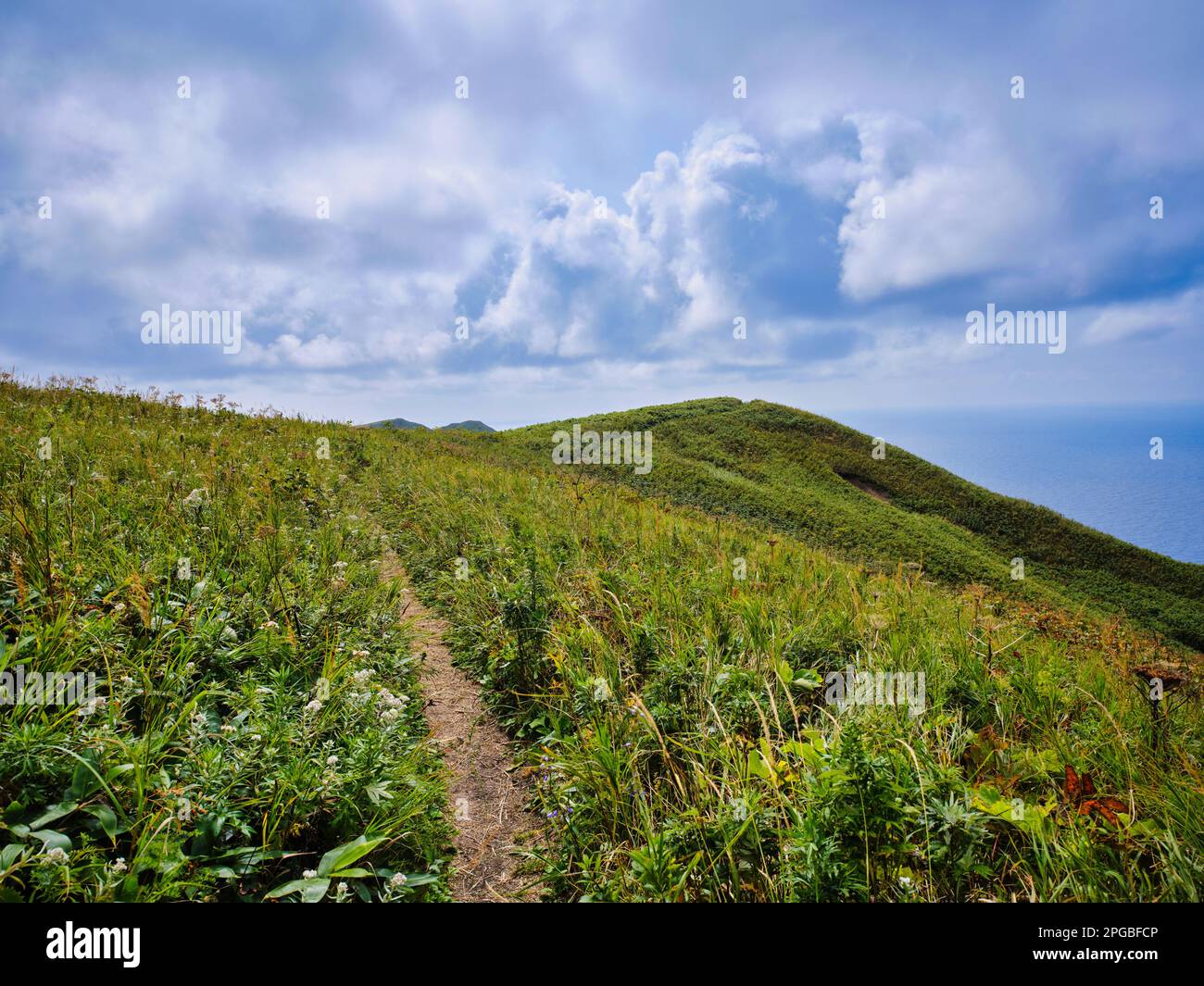 Landscape in Rebun Island, Hokkaido, Japan Stock Photo - Alamy