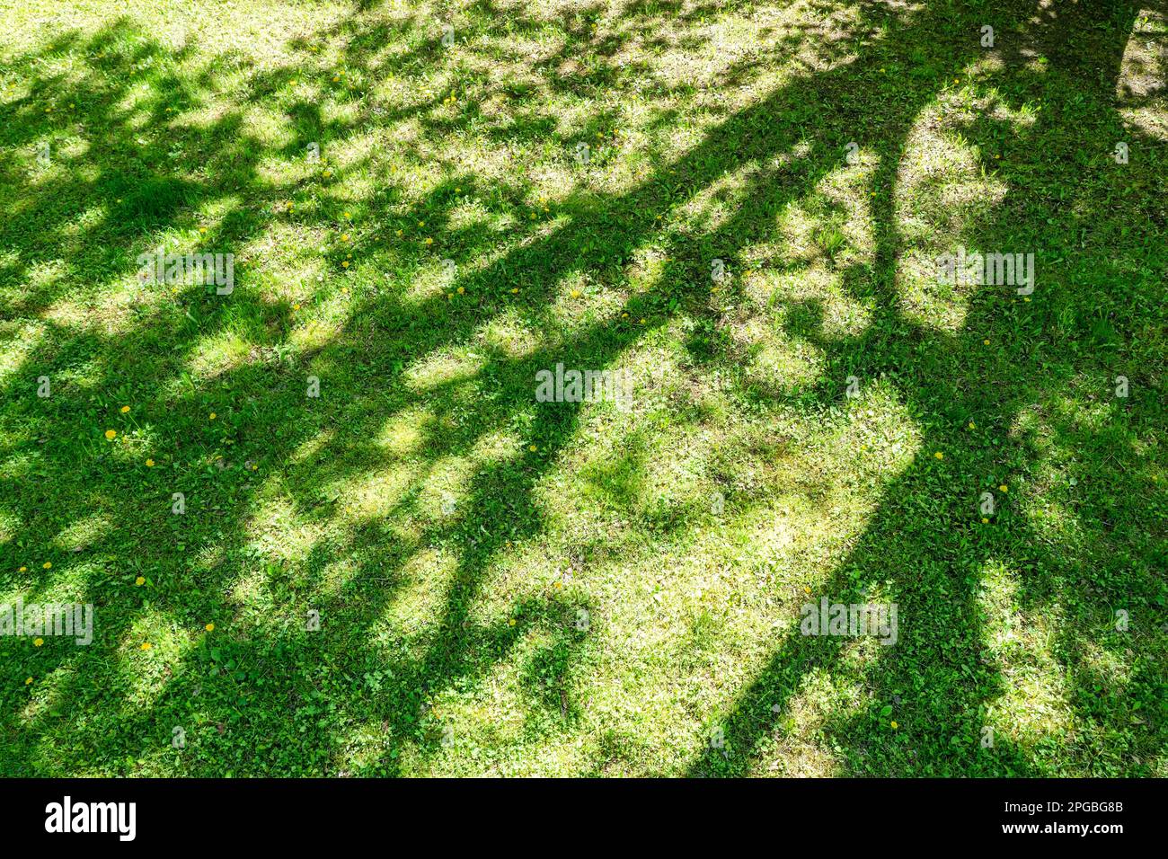 green lawn with tree shadow. spring garden on sunny day. aerial photo ...