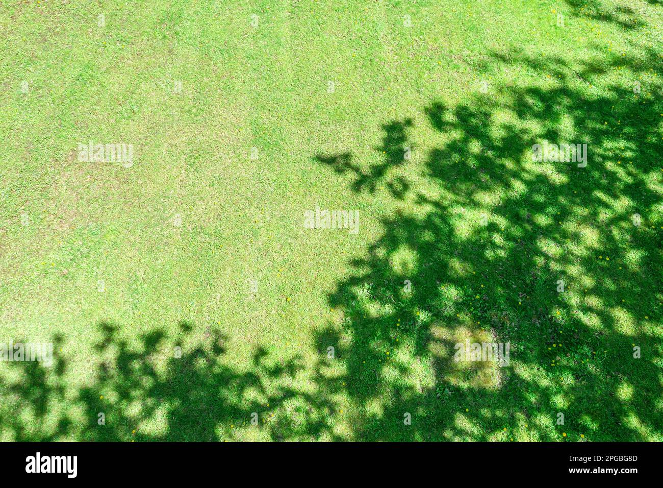 Green garden with sunlight hi-res stock photography and images - Alamy