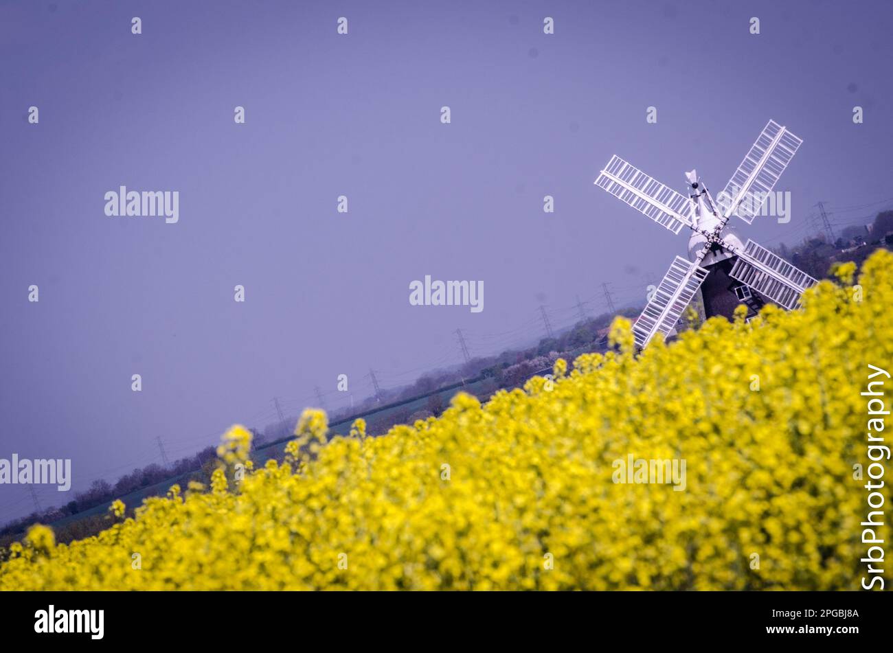 Windmill the cat hi-res stock photography and images - Alamy