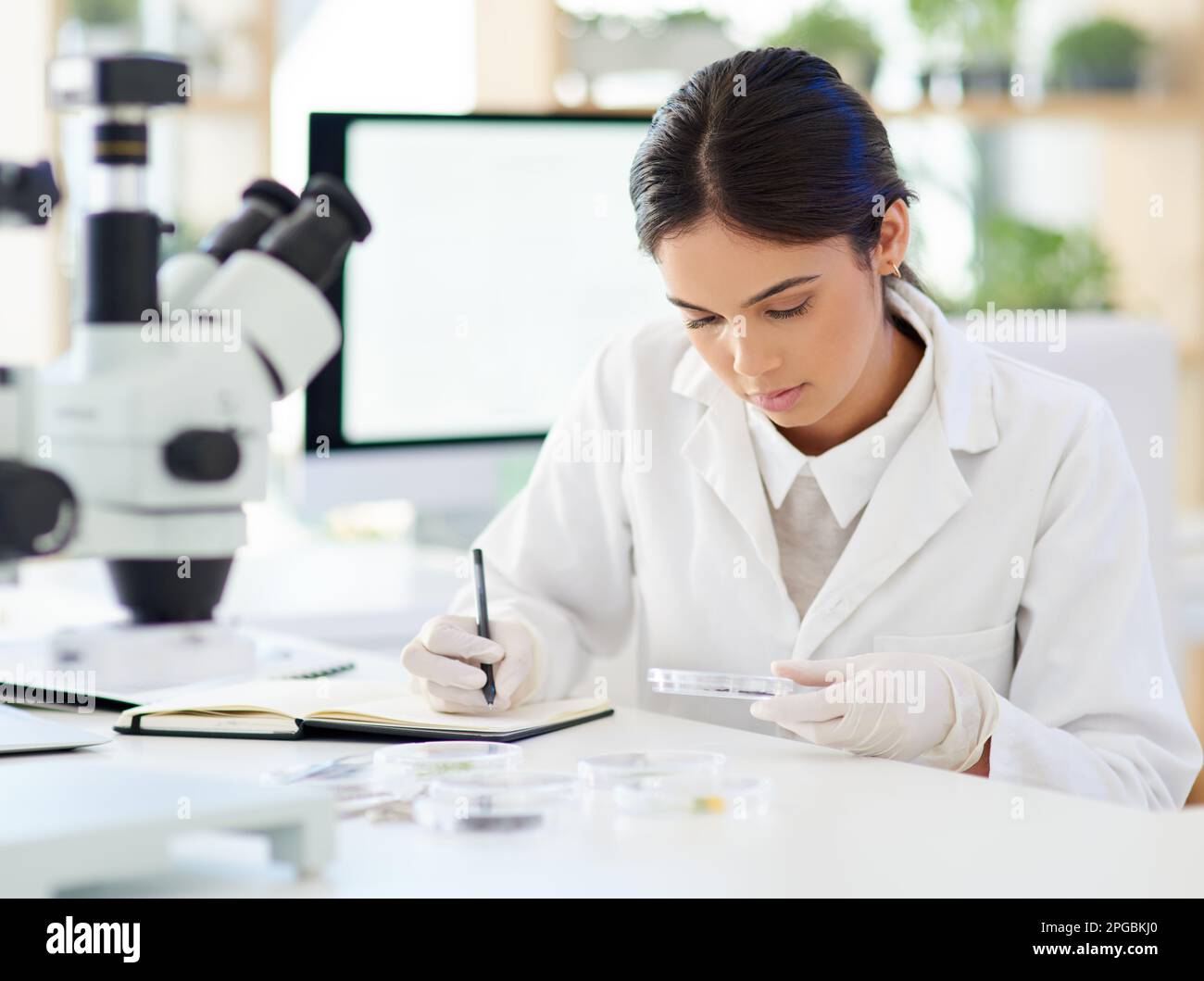 Observing and recording every detail. a young scientist writing notes ...