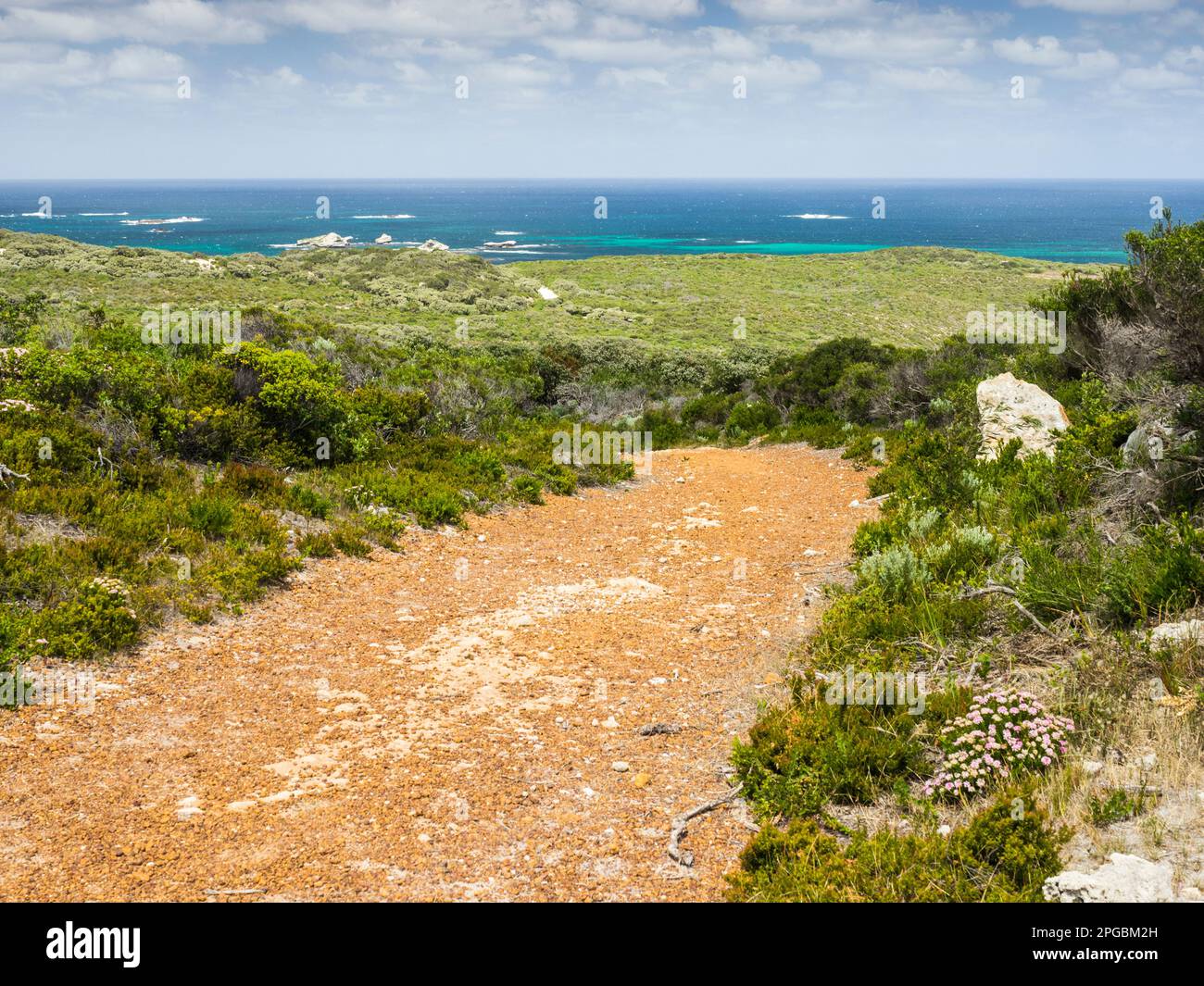 The Cape to Cape track heading south towards Cosy Corner, Knobby Point ...