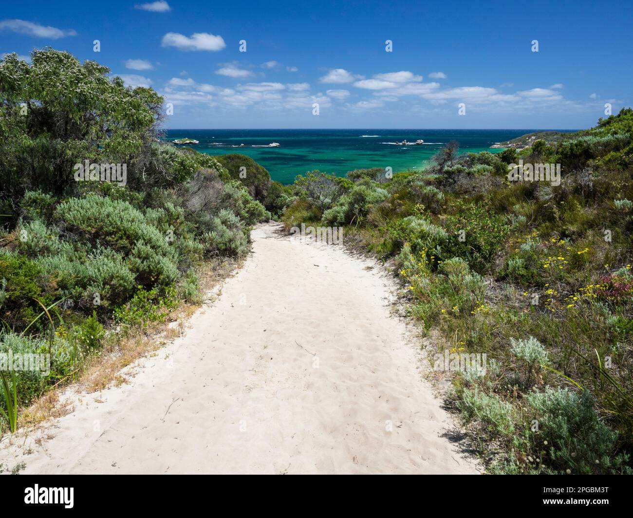 The Cape to Cape track heading south to Cosy Corner Beach, Leeuwin ...