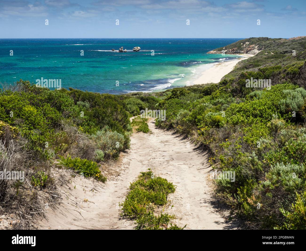 The Cape to Cape track heading to Cosy Corner Beach, Leeuwin ...