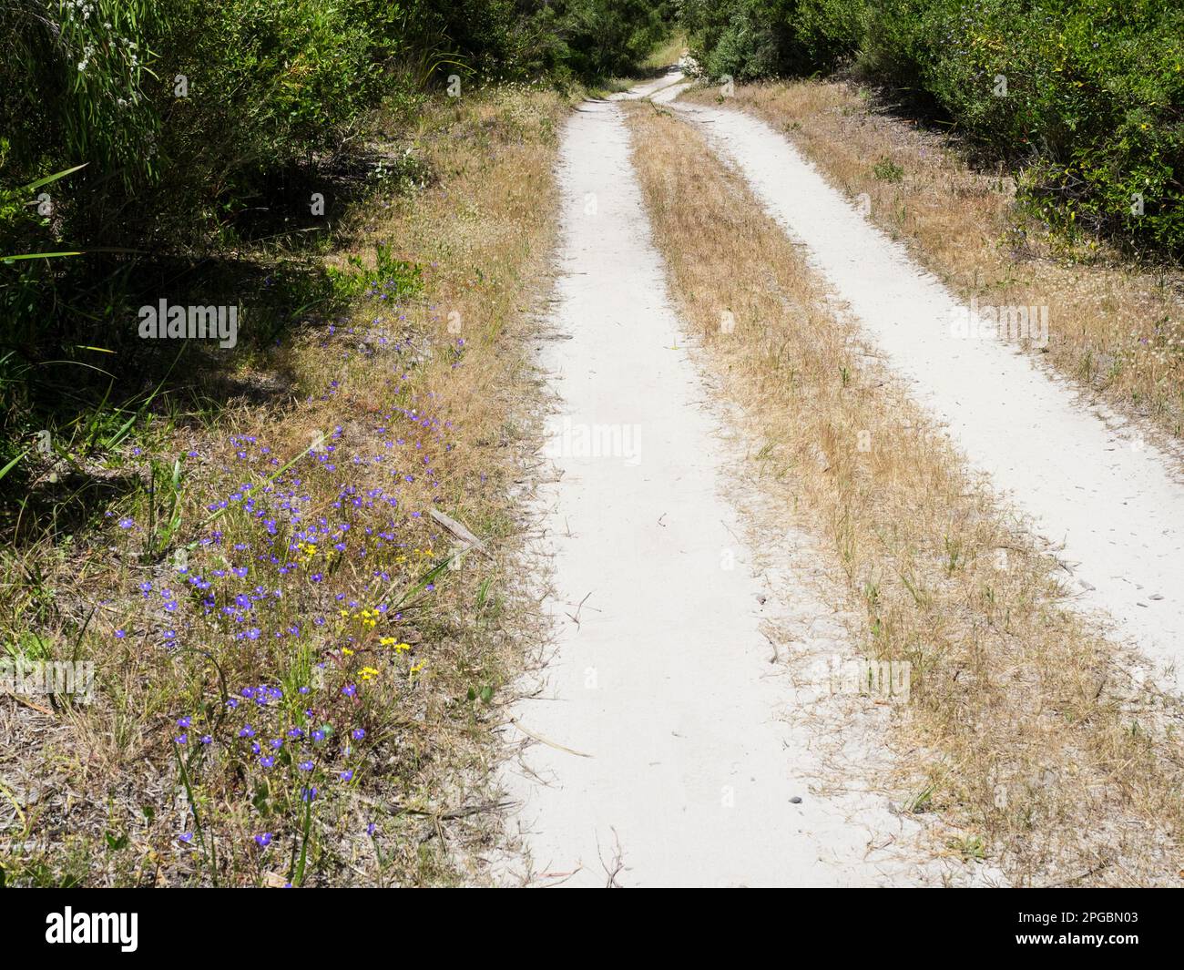 The Cape to Cape track follows a 4wd track inland from Foul Bay ...