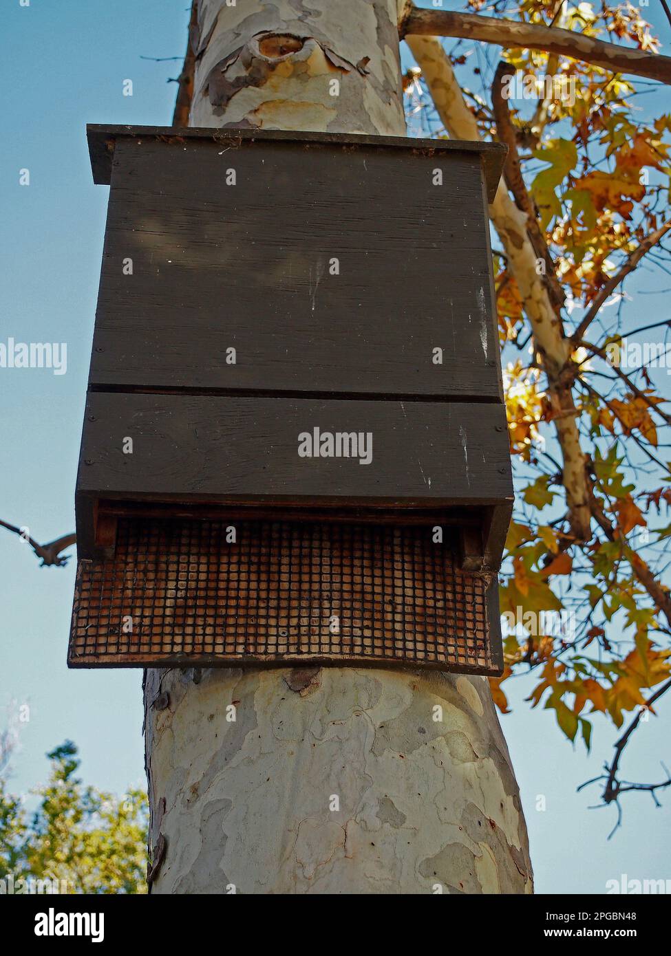 bat box attached to a tree in Lake Del Valle in Livermore, California ...