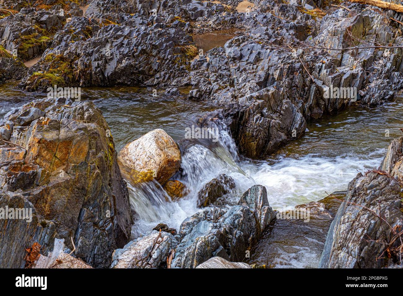 A mountain river flows between rocks in a cascade, Cindrel mountains ...