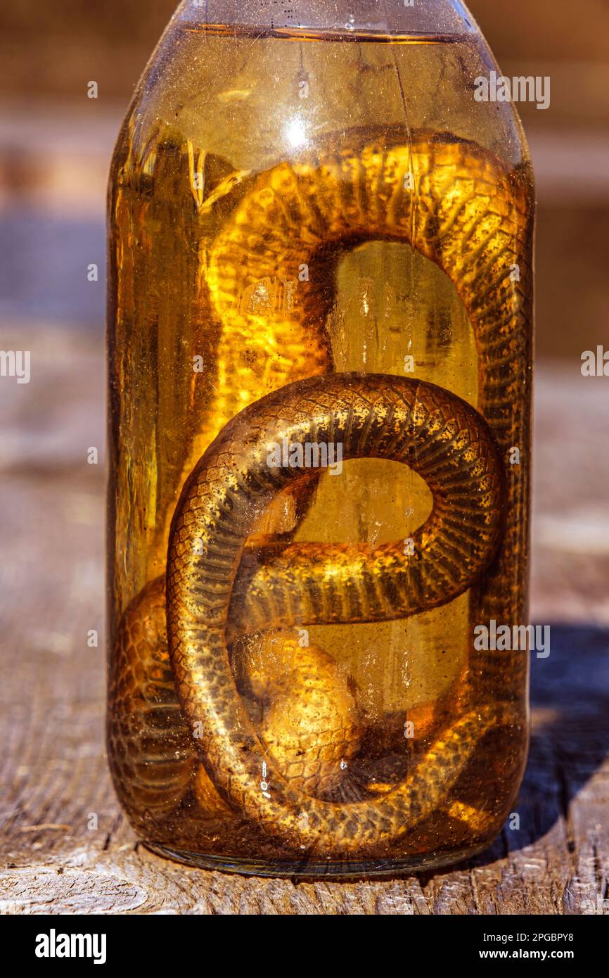 Vietnamese snake whisky bottle whisky hi-res stock photography and ...