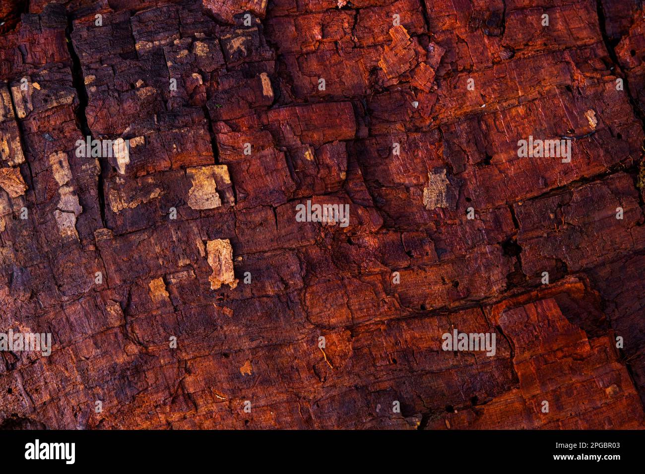 Decayed timber background full frame on natural day light Stock Photo ...