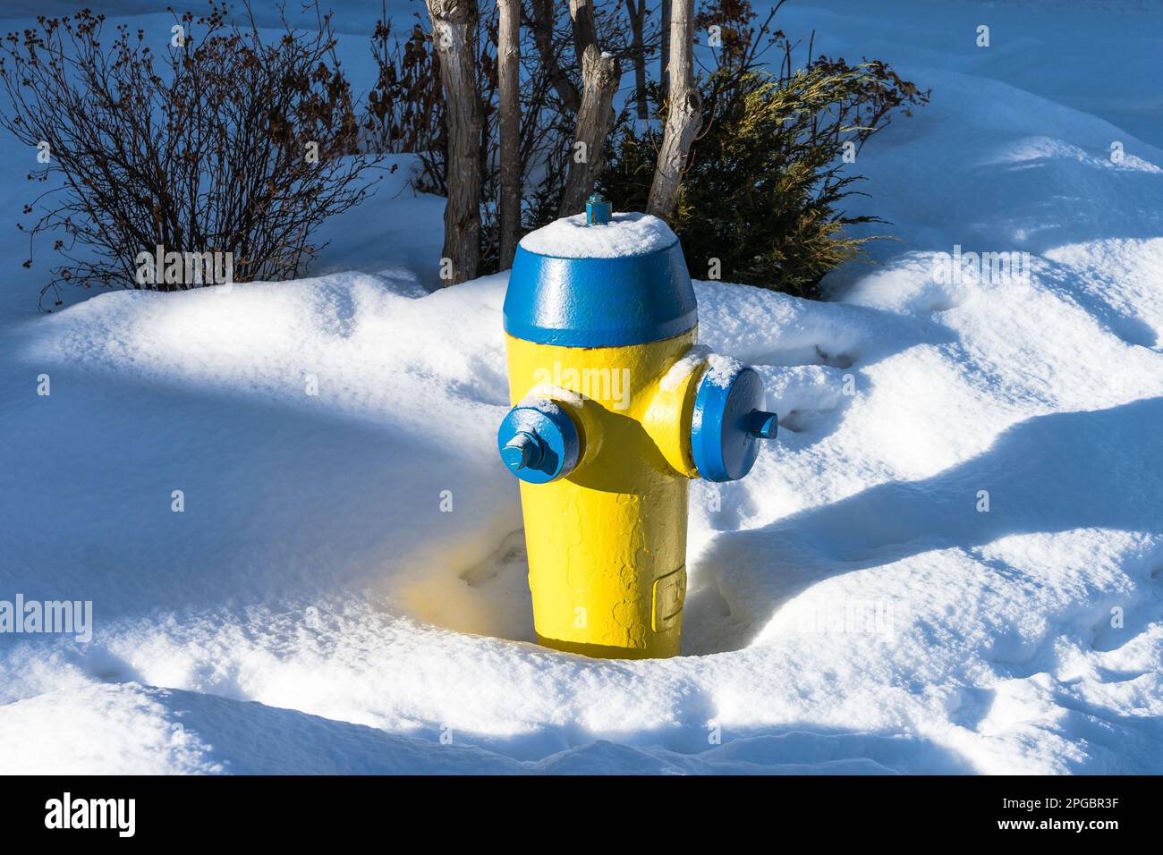 Yellow fire hydrant in snow season Stock Photo - Alamy